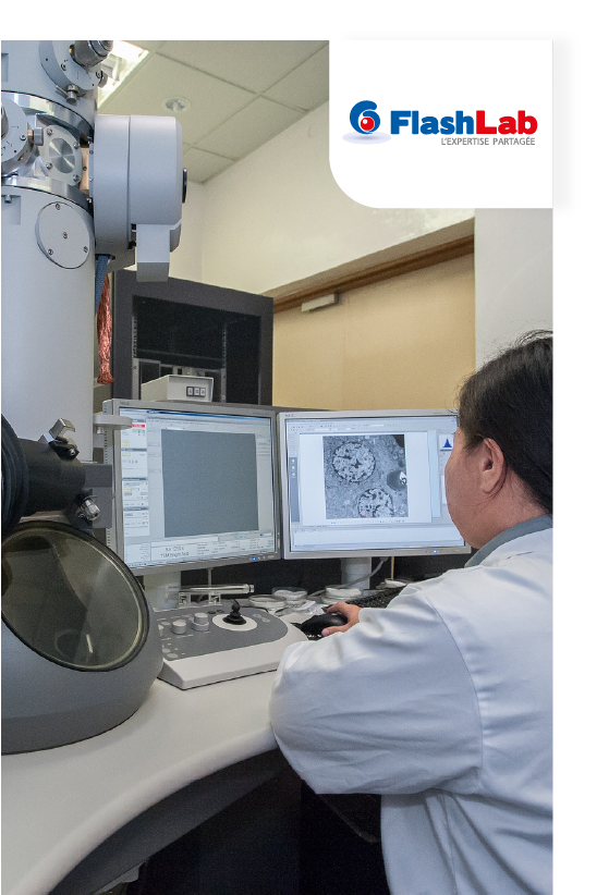 FLASHLAB - Novovitae